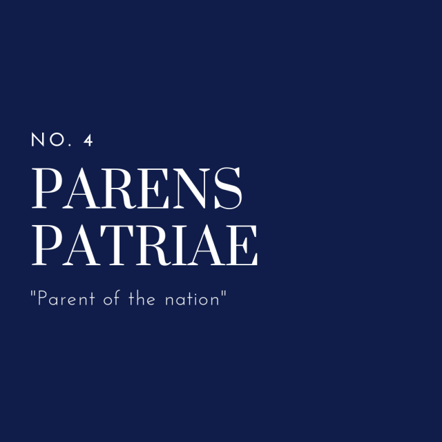 Top 5 Latin Terms You Should Know Before Going to Court - FamilyLLB